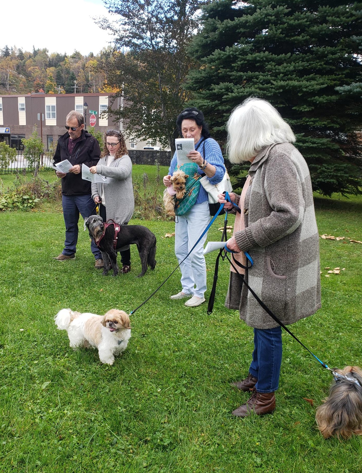 Blessing of the Animals in Corner Brook - Anglican Life