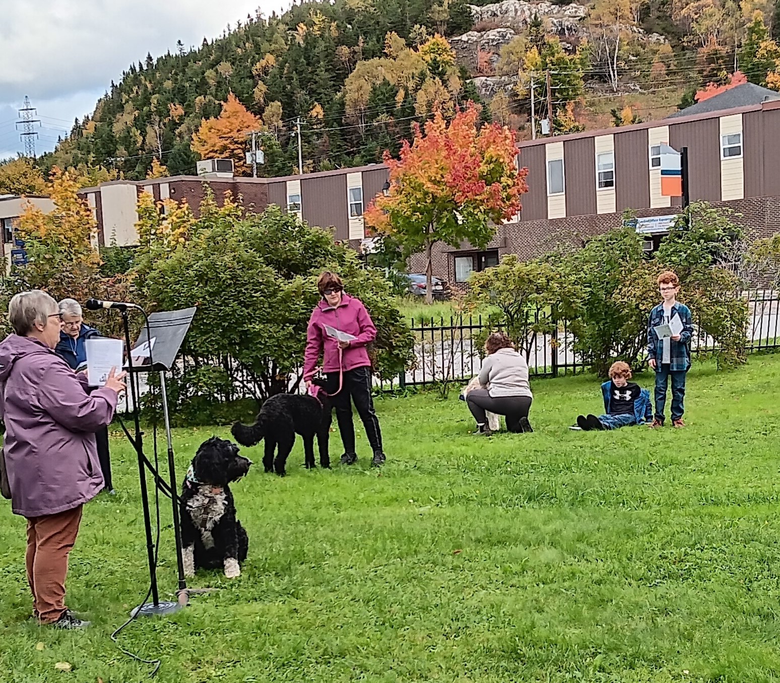 Blessing of the Animals in Corner Brook - Anglican Life
